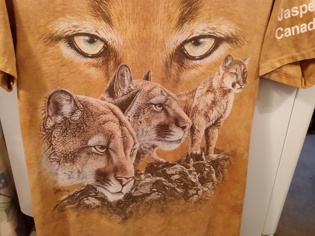 Mountain Lions – Inga Nelson Writes