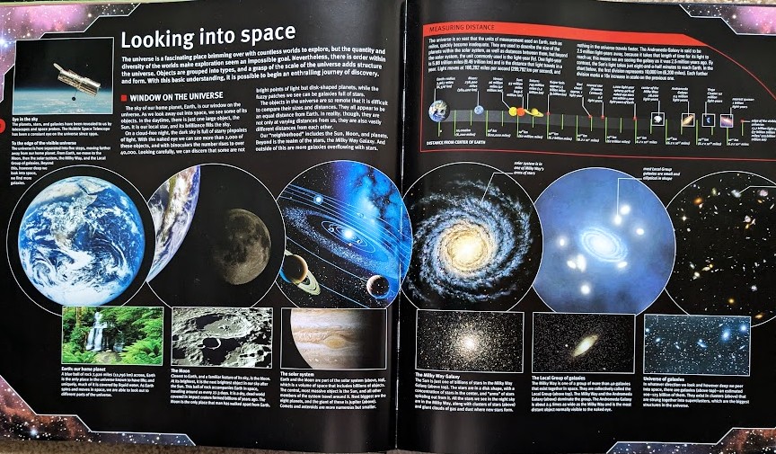 Organized Chaos – Inga Nelson Writes