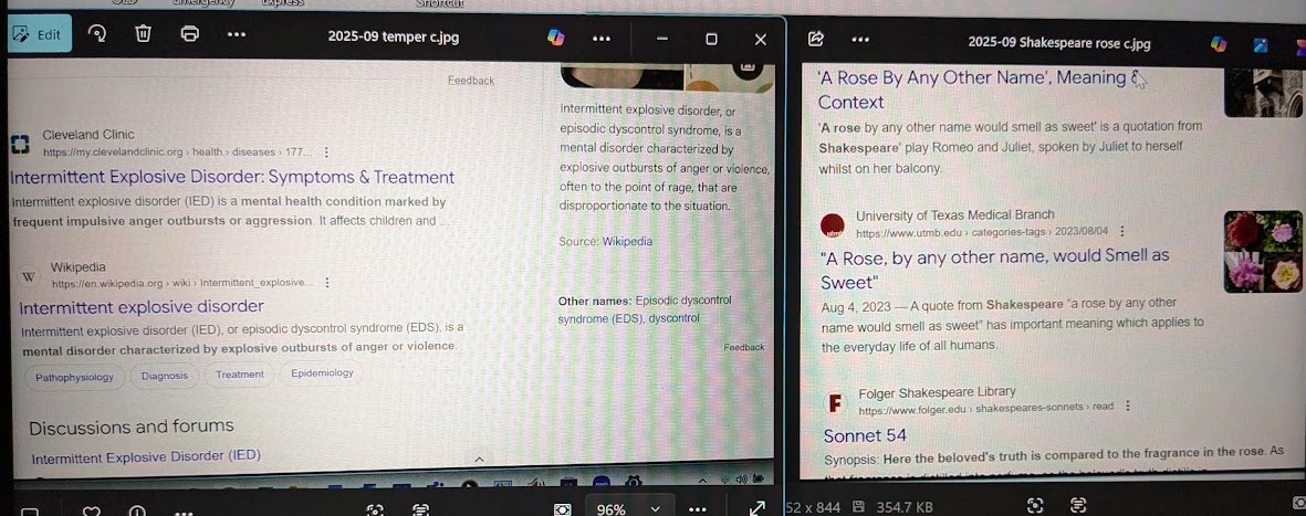 Shakespearean Philosophy – Inga Nelson Writes